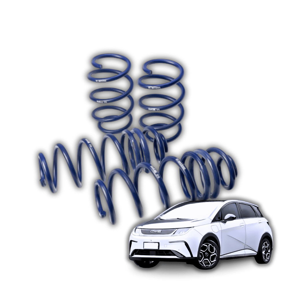 BYD Dolphin '21- Lowering Springs – goliathauto